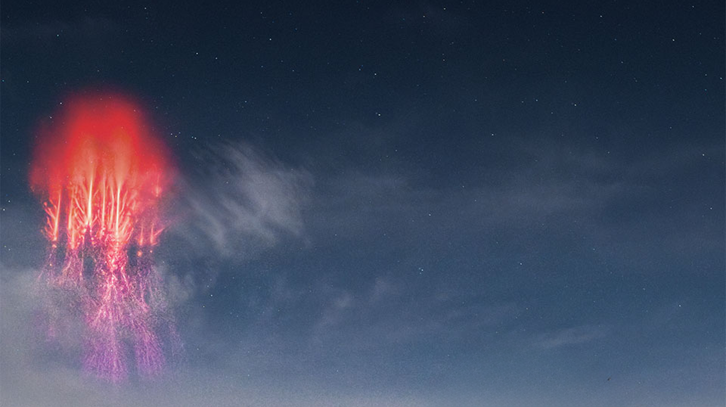 L'Éclair Rouge et l'Arbre : Deux Mondes Apparemment Distincts - Pourton ...