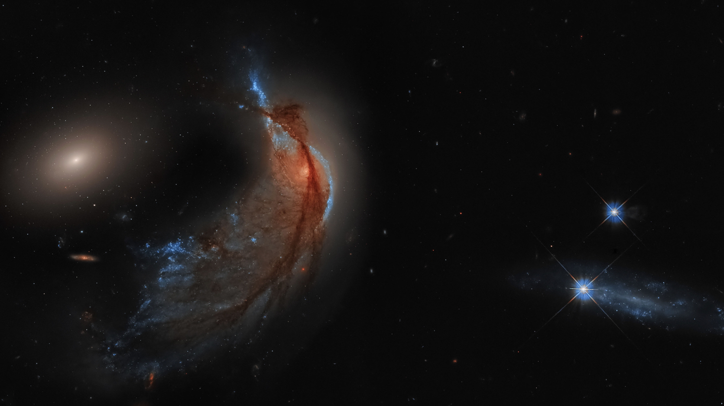 À la découverte d'Arp 142 : La Fascinante Interaction Entre Deux ...